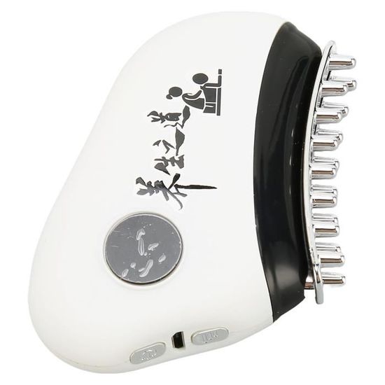 Brosse de grattage méridien Brosse méridienne électrique 16 vitesses ...