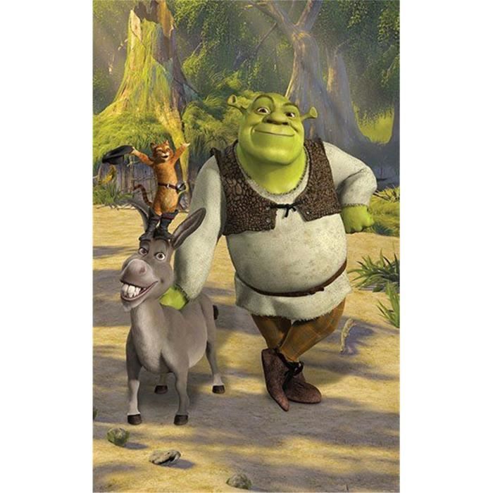 MYBL-965 3D Diy Animated Monster Shrek Diamond Painting, Numbered ...