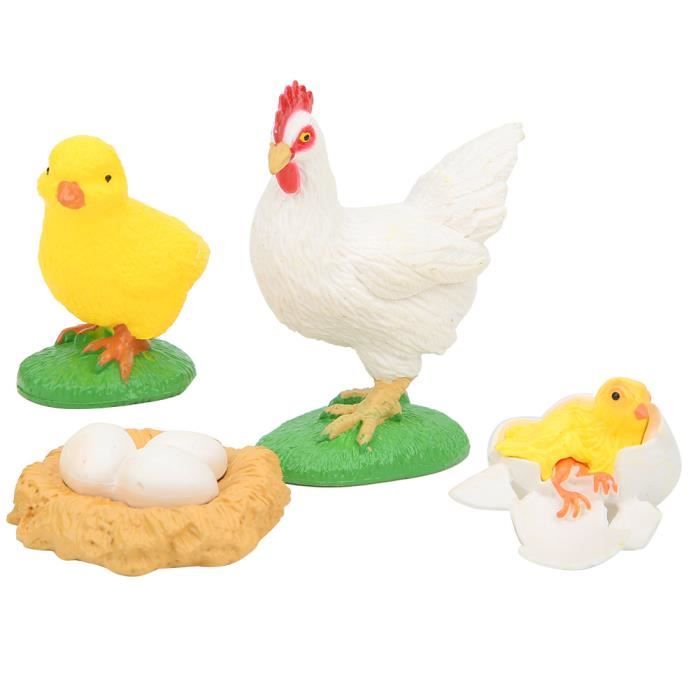 Lanran Jouet Modèle de Cycle de Vie de Poussin pour Enfants - Cdiscount Jeux - Jouets
