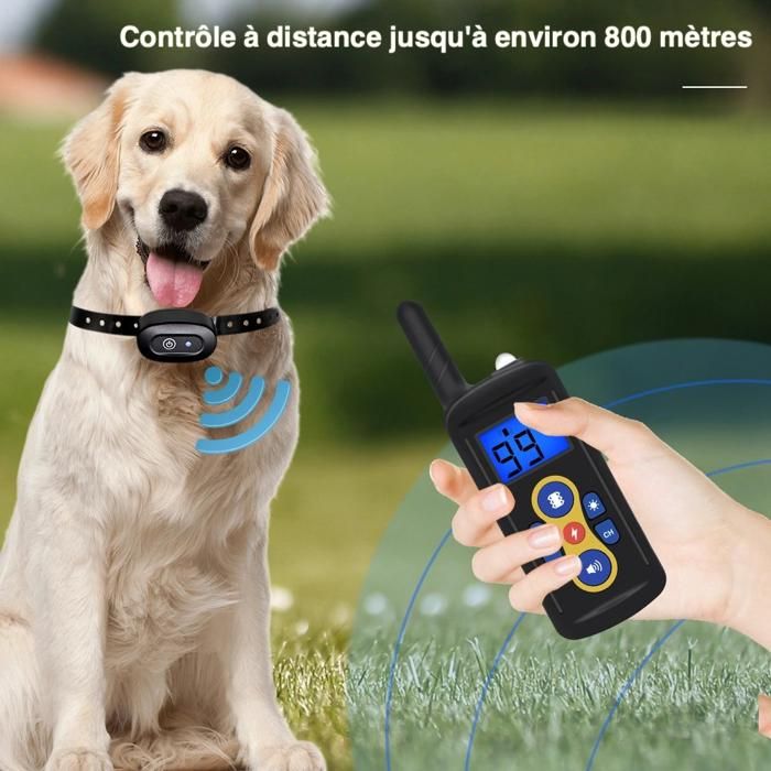 Collier de Dressage avec Télécommande pour Chien, 2 Récepteurs Colliers ...