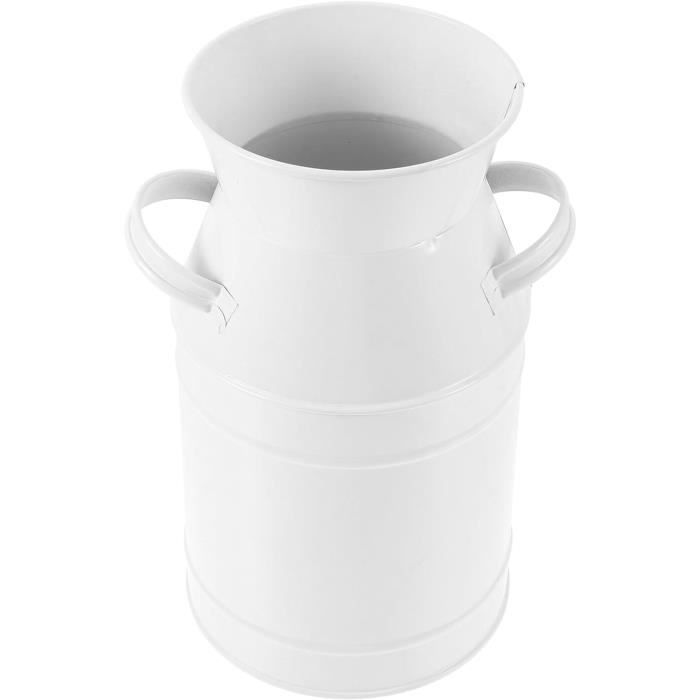 Pot De Lait Vase Cruche En Métal Galvanisé Ferme Français Pichet Vase ...