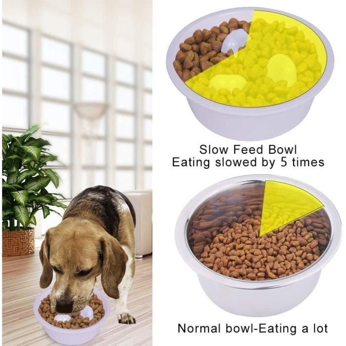 Gamelle Surélevée, Porte-Gamelles Feeder Pour Chiens Grands Et Âgés ...