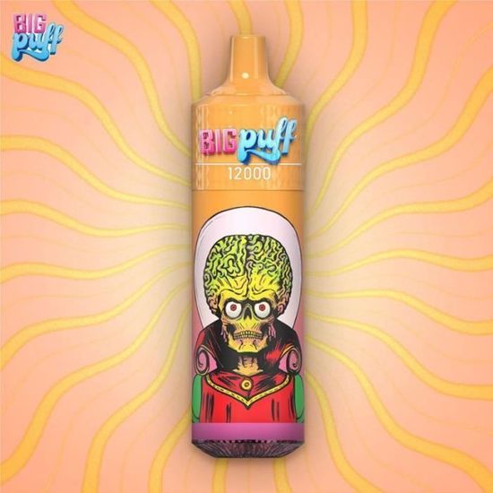 Peach Mango Pineapple 12000 puffs - Big Puff 0% NICOTINE - Cdiscount Au ...