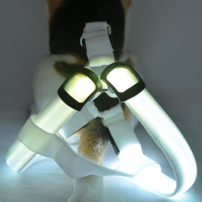 CRAZE USB Rechargeable Chest Harness LED Pet Dog Glow Flashing Light-up ...