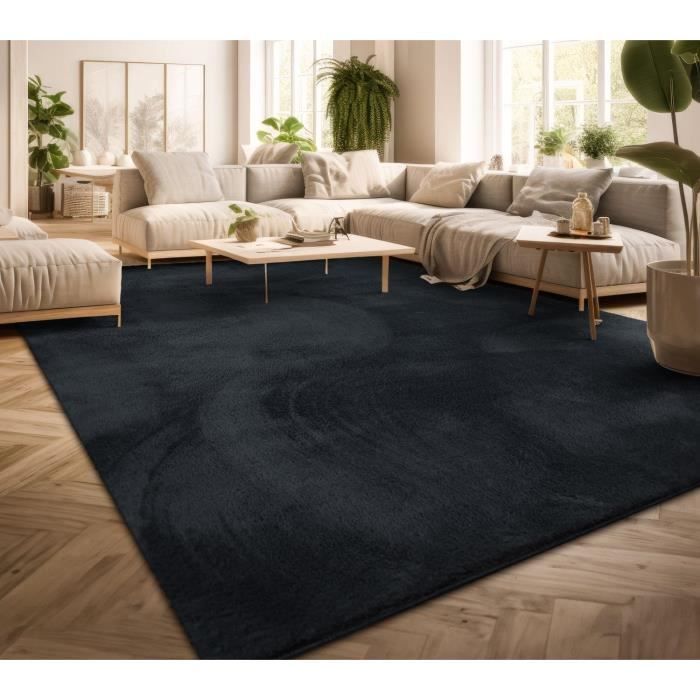 Tapis Poil Ras Tapis De Salon Monochrome Design Moderne Lavable ...