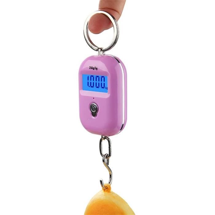 Balance électronique suspendue 25Kg 5g Mini balance numérique rétro ...