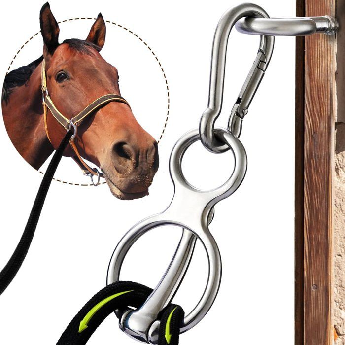 Anneau d'attache pour cheval - DOK - Acier inoxydable - Attache rapide ...