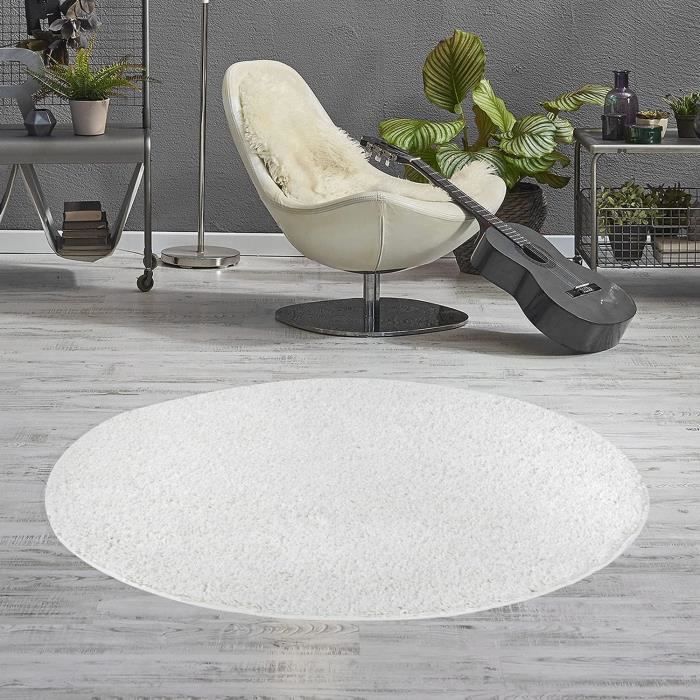 Prime Poils Longs Shaggy Tapis Blanc Poils Longs Poil Long Tapis Modernes Pour Salon Chambre À ...