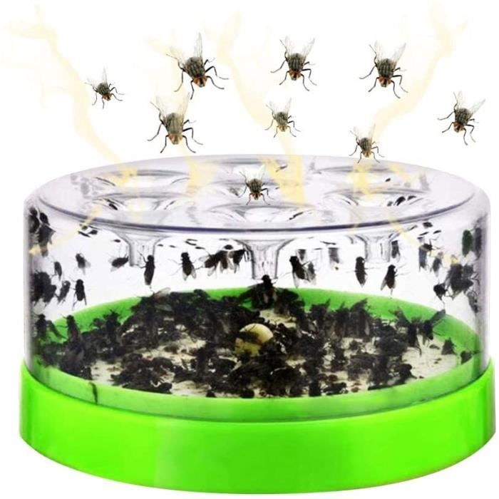 Attrape Mouche, Piège à Mouches Pièges à Insectes Collant Pièges ...