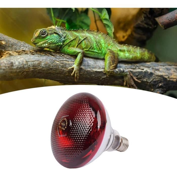 Lampe Chauffante Terrarium Lampe Chauffante Reptile Reptile Lampe ...