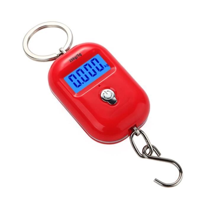 Balance numérique suspendue à Mini crochet 25kg-5g,outil de pesage ...