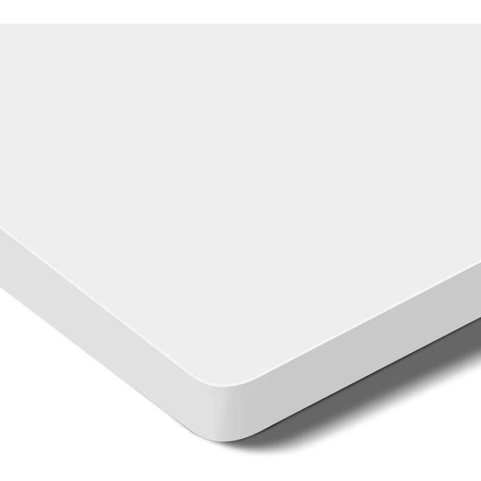 FLEXISPOT Plateau Stable de 100x60cm- Planche Rectangulaire DIY pour ...