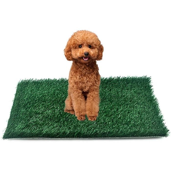 Tapis de Gazon Artificiel pour Chiens,Toilette pour Animaux Tapis d ...