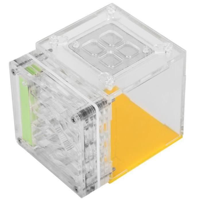 EJlife Boîte d'élevage de fourmis Fourmi acrylique regardant boîte de ...