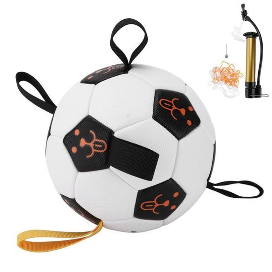 Dog soccer ball store