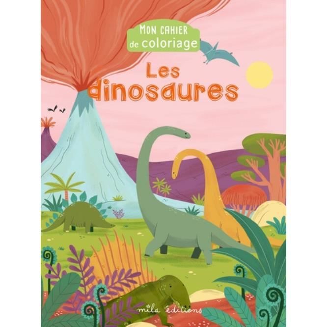 Mon cahier de coloriage les dinosaures - Cdiscount Jeux - Jouets