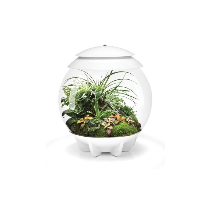 Oase Terrarium automatisé 30l blanc - Air30white - Cdiscount Animalerie