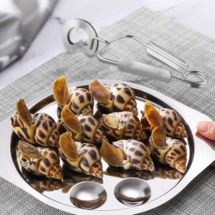 Pinces à escargot - Lot de 4 - Acier inoxydable - Antirouille - Design ...