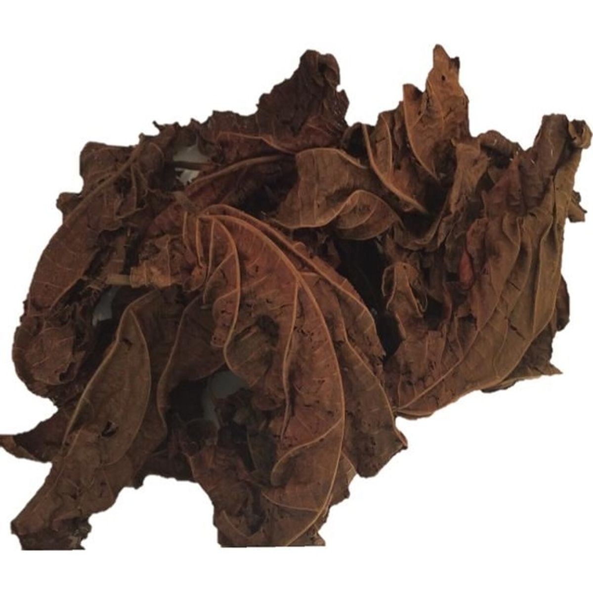 Feuilles de DJEKA ( du Sénégal) - Cdiscount Au quotidien