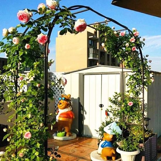 Arceau De Jardin en MétalArche A Rosiers JardinArches en Métal pour ...