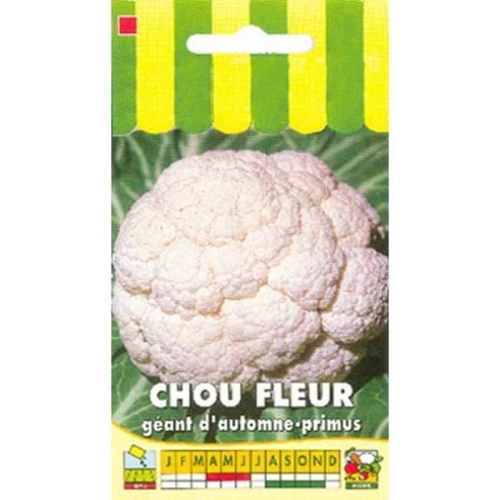 Sachet de graines de Chou fleur géant d'automne-Primus - 1 g - légume ...