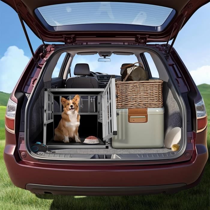 Cage de Transport Taille M pour Animaux domestiques Alm MDF 1 Porte ...