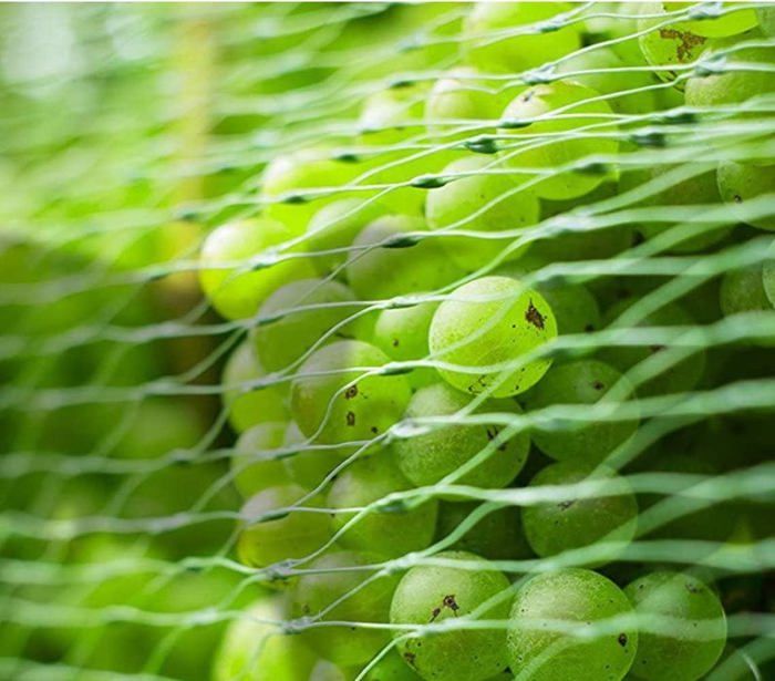 Filet De Protection Pour Oiseaux - Filet De Jardin - Filet De Piscine ...