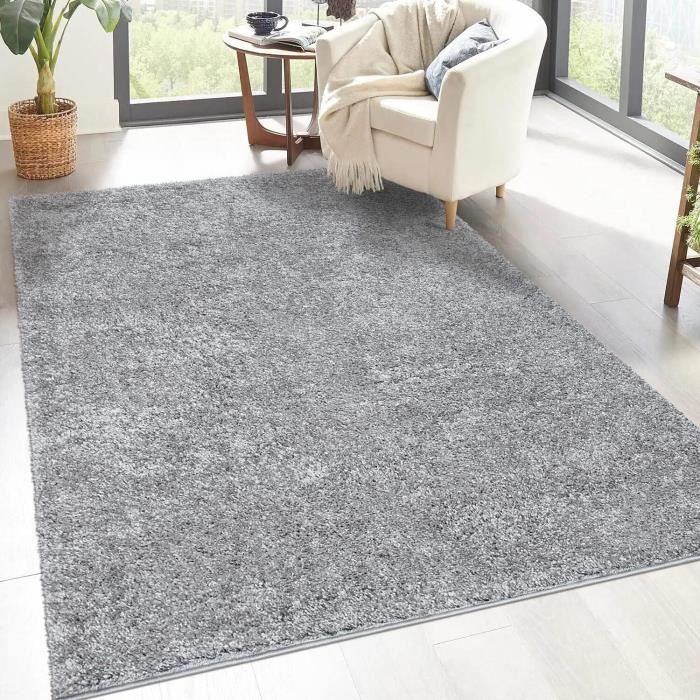 Shaggy Tapis De Salon, À Poils Longs, Motif Uni, Gris, 160 X 230 Cm, Doux Et Moelleux, Moderne ...