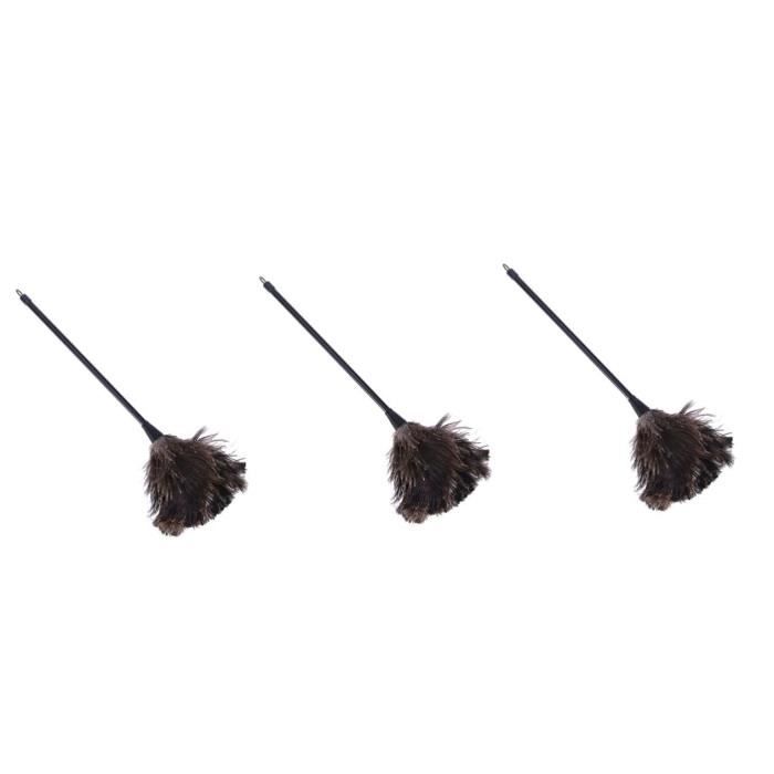 Nettoyeur Naturel Brosse Nettoyant Plumeau 3 Pièces Voiture Plumeau ...