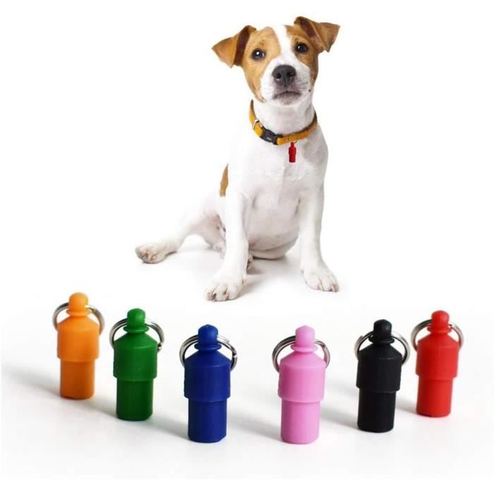 Collier d'identification pour chat en forme de capsule - Noir - Cdiscount