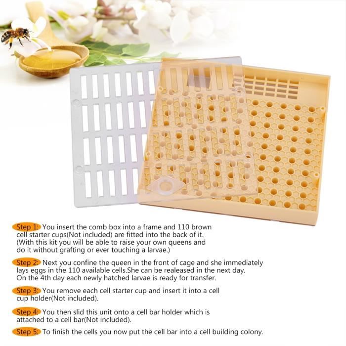 Duokon outils d'apiculture Bee Queen Rearing Cell Cupkit Box Case pour ...