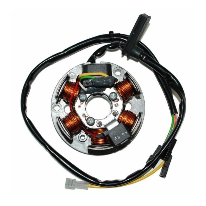 Stator Allumage 50 A Boite Adaptable Minarelli 50 Am6 Ducati