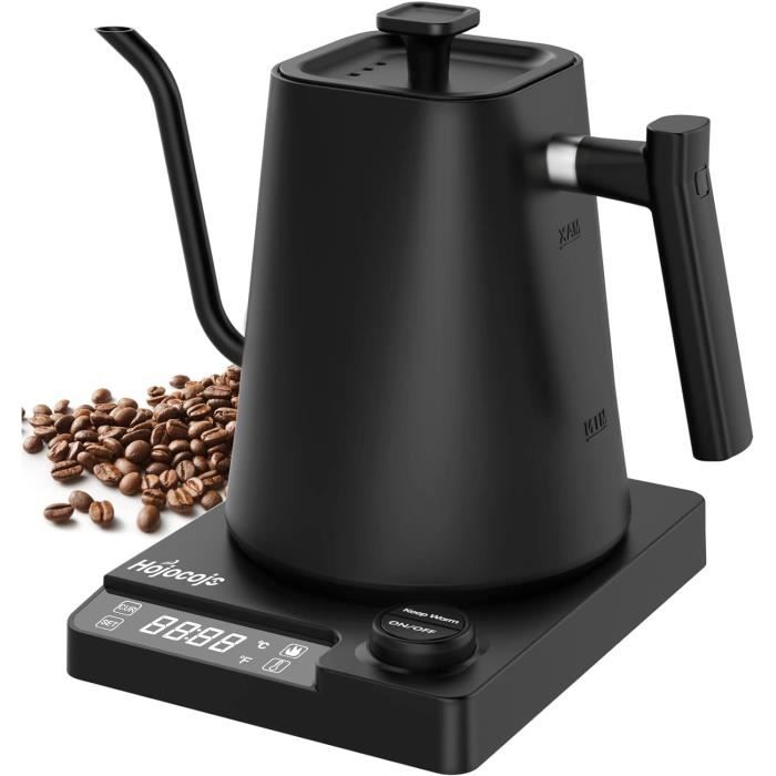 Bouilloire Électrique Avec Réglage De La Température, Col De Cygne ...