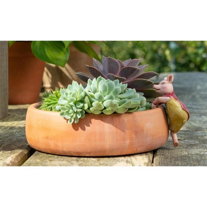 Pot Buddies Beatrix Potter Pigling Bland Cintre Pour Pot De Fleurs ...