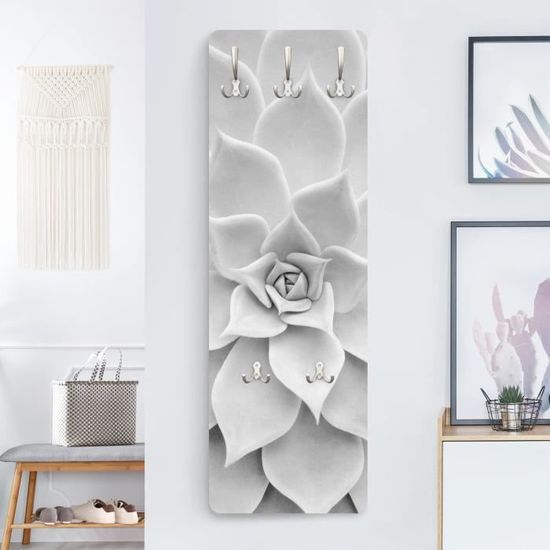 Garde robe - Cactus Succulent, portemanteau vestiaire mural porte ...