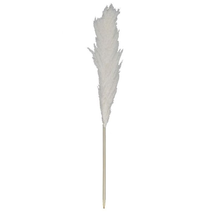 Pampa naturelle beige en roseau séché hauteur 120 cm - Cdiscount Maison