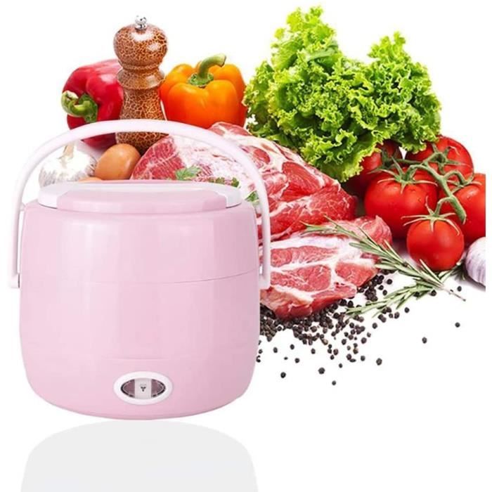 Mini Cuiseur électrique Multifonction Portable Cuiseur à Riz Cuit ...