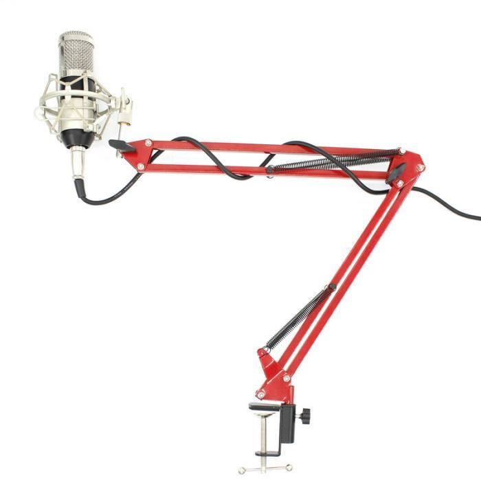 Micro argenté avec bras-Microphone de Studio professionnel à ...