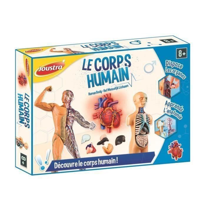 JOUSTRA Corps Humain - Cdiscount Jeux - Jouets