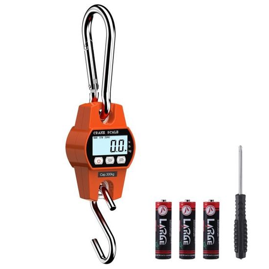 Balance à Crochet Numérique, Pèse Bagage Electronique, échelle de pêche ...