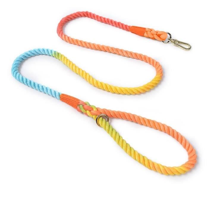 Dog Multi-Function Hand-Woven Gradient Dog Leash Outdoor Walking ...