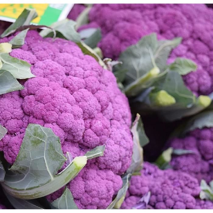 100 Graines De Chou-Fleur Violet - Jardins Potager Légumes Rare ...