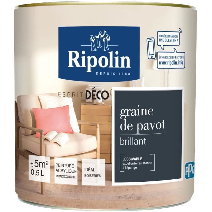 Rip deco multi supports brillant 0.5l graine pavot - Cdiscount Bricolage