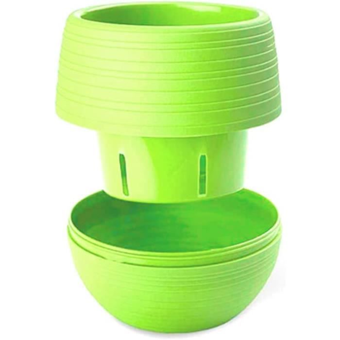 Mini-Plantes Succulentes Mini Pot De Fleurs Pots De Plantes En Argile ...