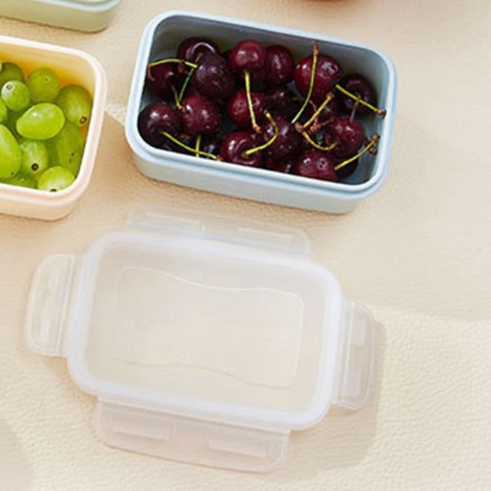 Mini réfrigérateur portable Fresh Box avec couvercle Lunch Box ...