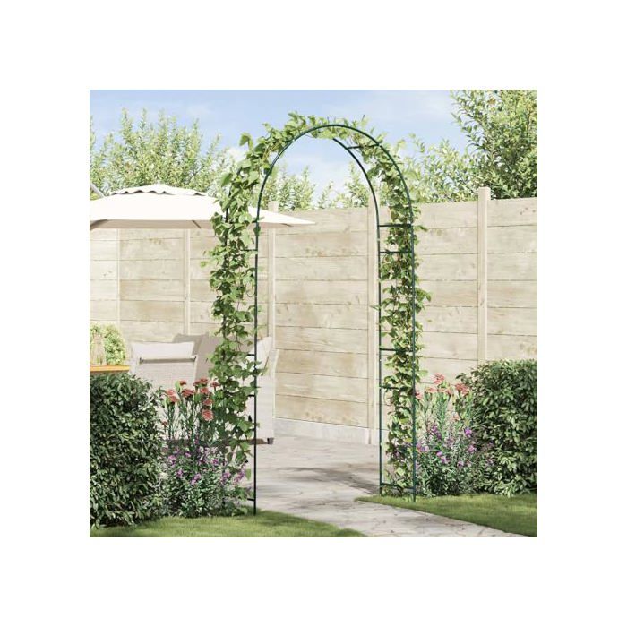 Arche de jardin florale - vidaXL - 115x37x231 cm - Vert - Métal robuste ...