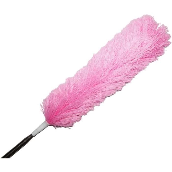 Plumeau Extensible Avec Manche Télescopique En Microfibre 2,5 M (Rose ...