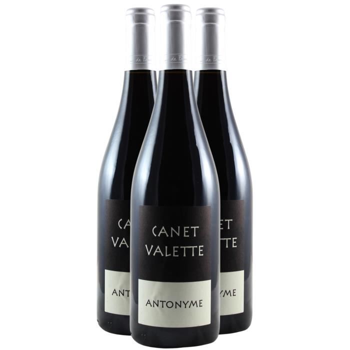Saint-Chinian Antonyme Rouge 2020 - Bio - Lot de 3x75cl - Domaine Canet ...