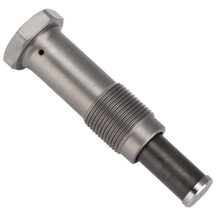 GOTOTOP 11317567680 Tendeur de chaîne de distribution 11311439851 ...