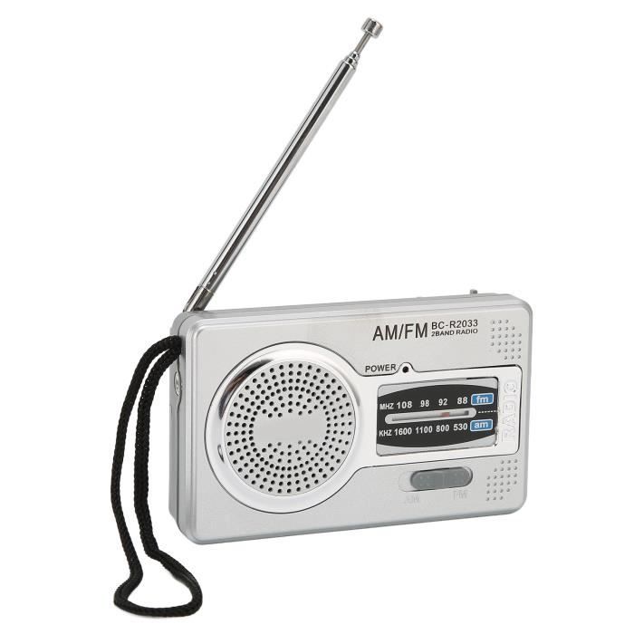Radio à transistor AM FM AM FM Transistor Radio DSP Puce Portable Poche ...